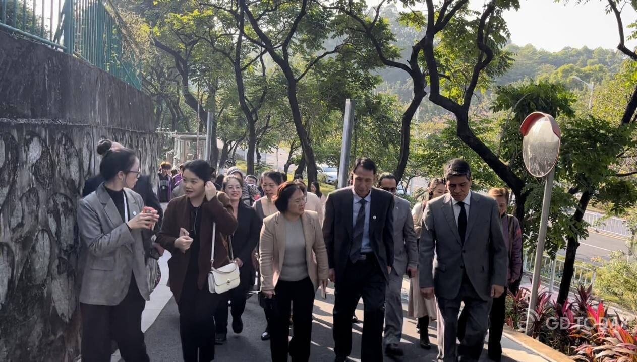 Officials from consulates general in Guangzhou explore TCM culture as ...