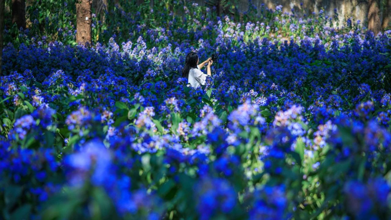 New cold front to impact Guangdong this week, temperatures to fluctuate ...