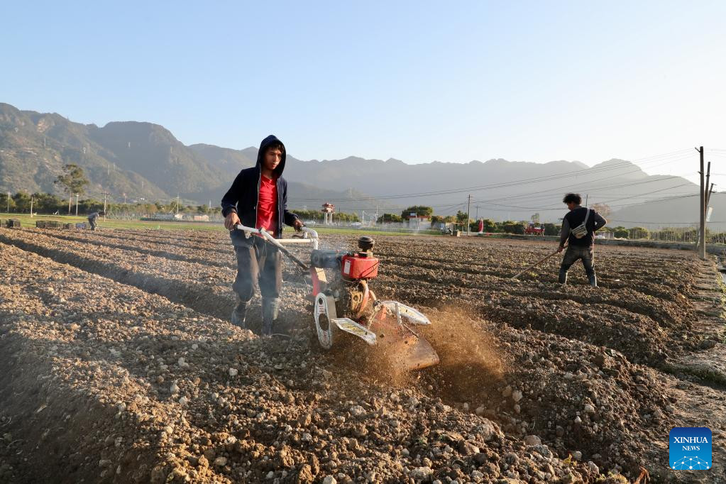 Spring farming underway across China | GDToday