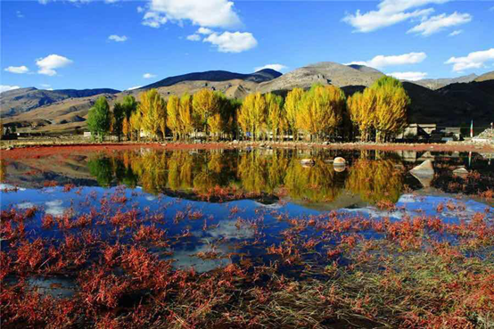 China Southern Airlines to start Guangzhou-Chengdu-Daocheng flight ...