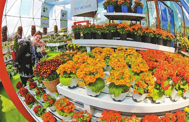 Shenzhen’s first international flower show brings a riot of color_www ...