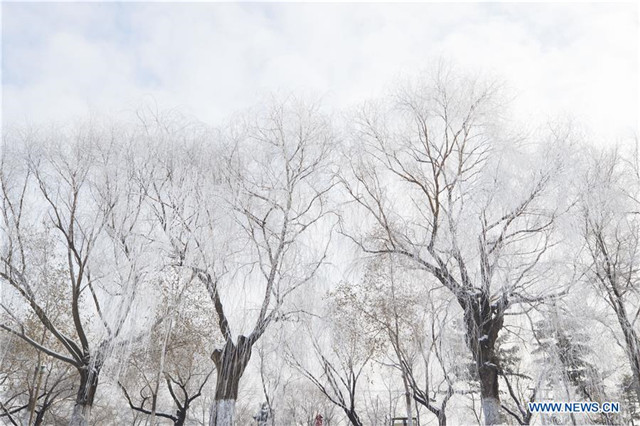 Snow scenery of Harbin City, China's Heilongjiang_www.newsgd.com