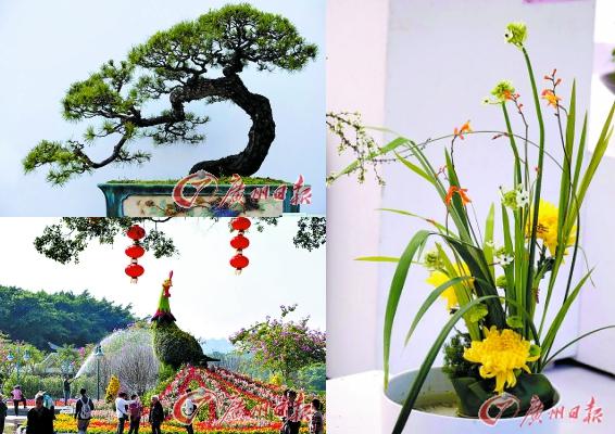 Millions of visitors enjoy flowery Spring Festival celebrations in ...