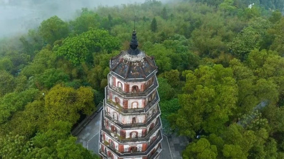 Foshan's Shunde sees a surge in popularity during Qingming Festival ...