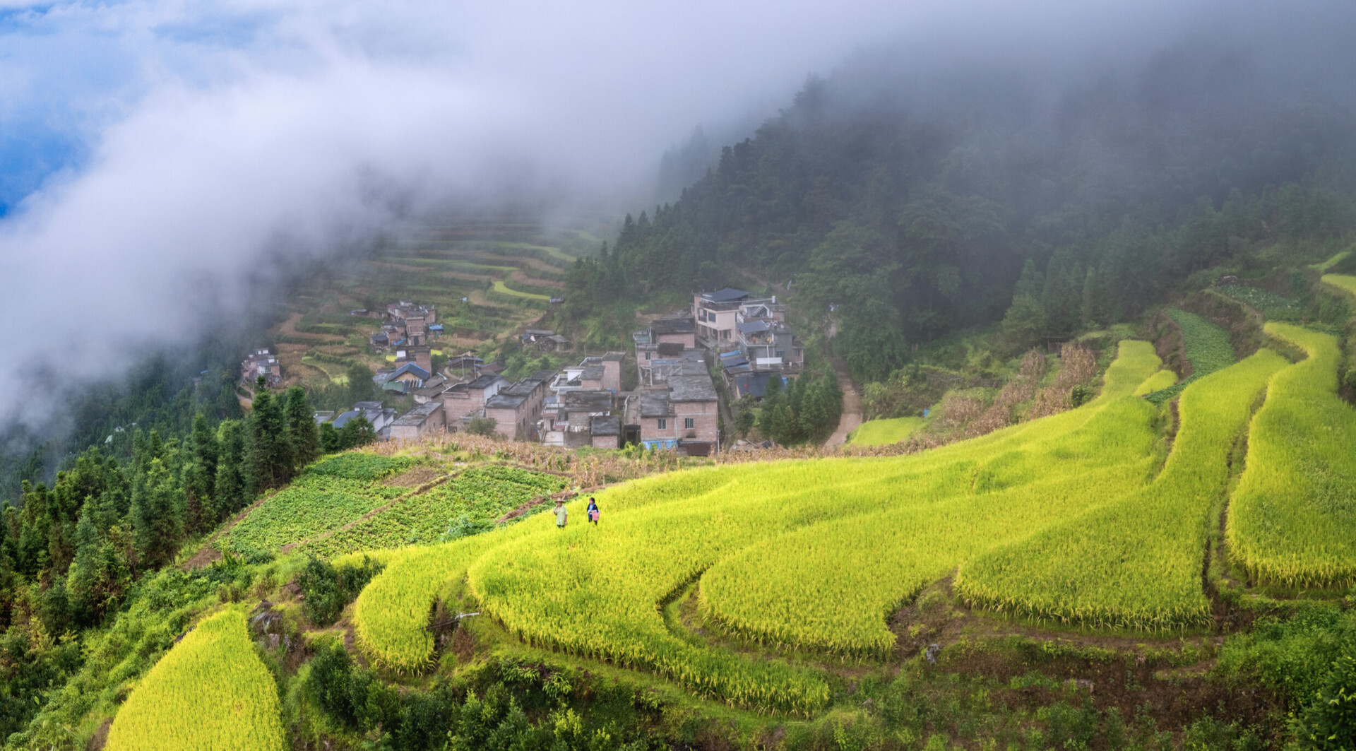 Qingyuan, a treasure trove of niche tourist attractions in China | GDToday