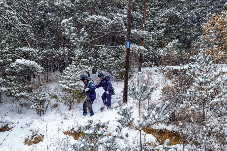 China swings into actions to tackle record cold wave | GDToday