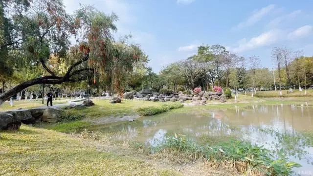 Spending 20 minutes in parks in Guangzhou's Panyu to reduce stress ...