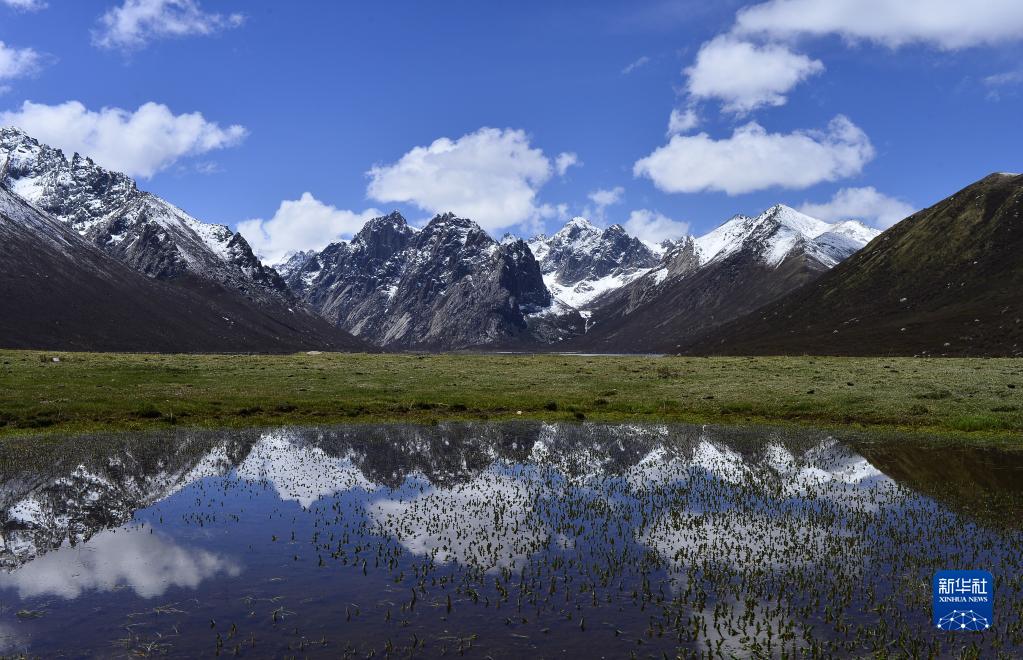 万物并育和合生——中国积极推动全球生物多样性治理进程_南方网