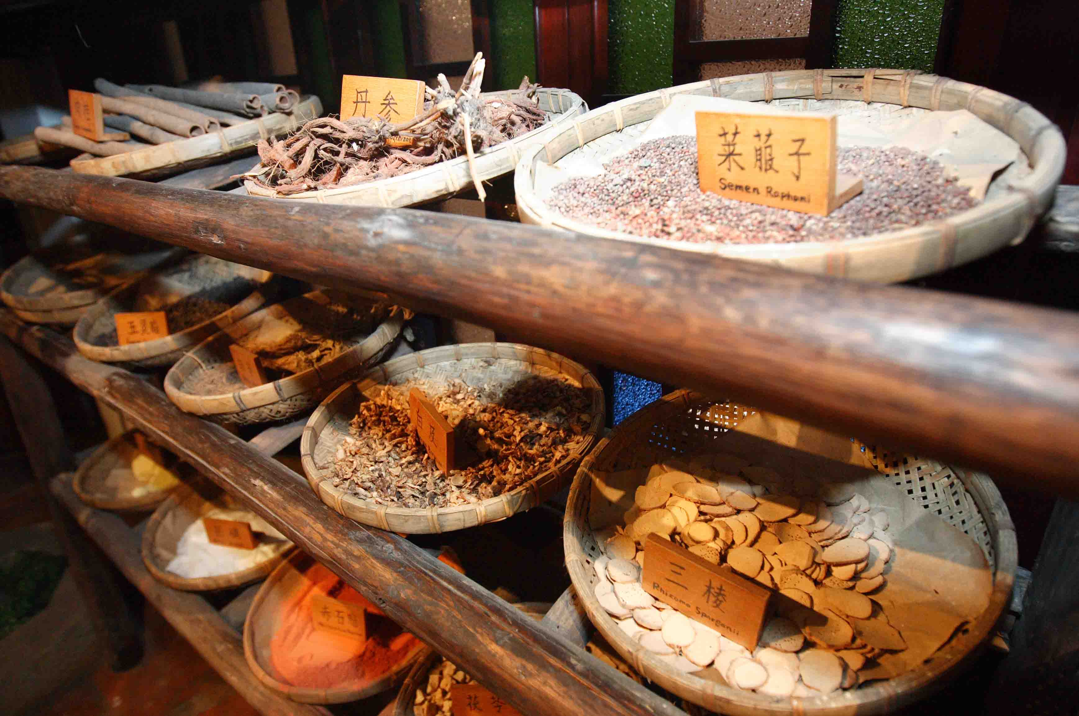 Herbal tea – Guangdong people's panacea for summer heat | GDToday