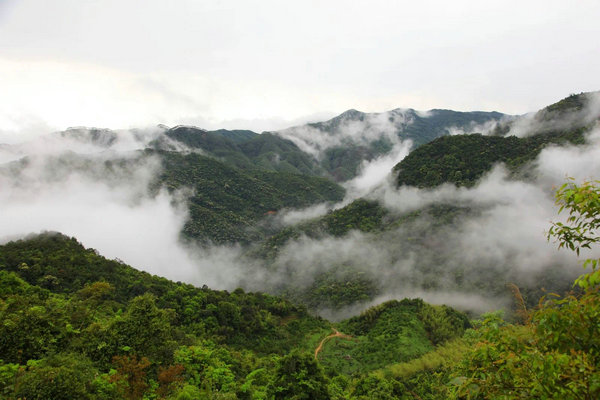 Project launched to revitalize Guangdong's Luofu Mountain | GDToday